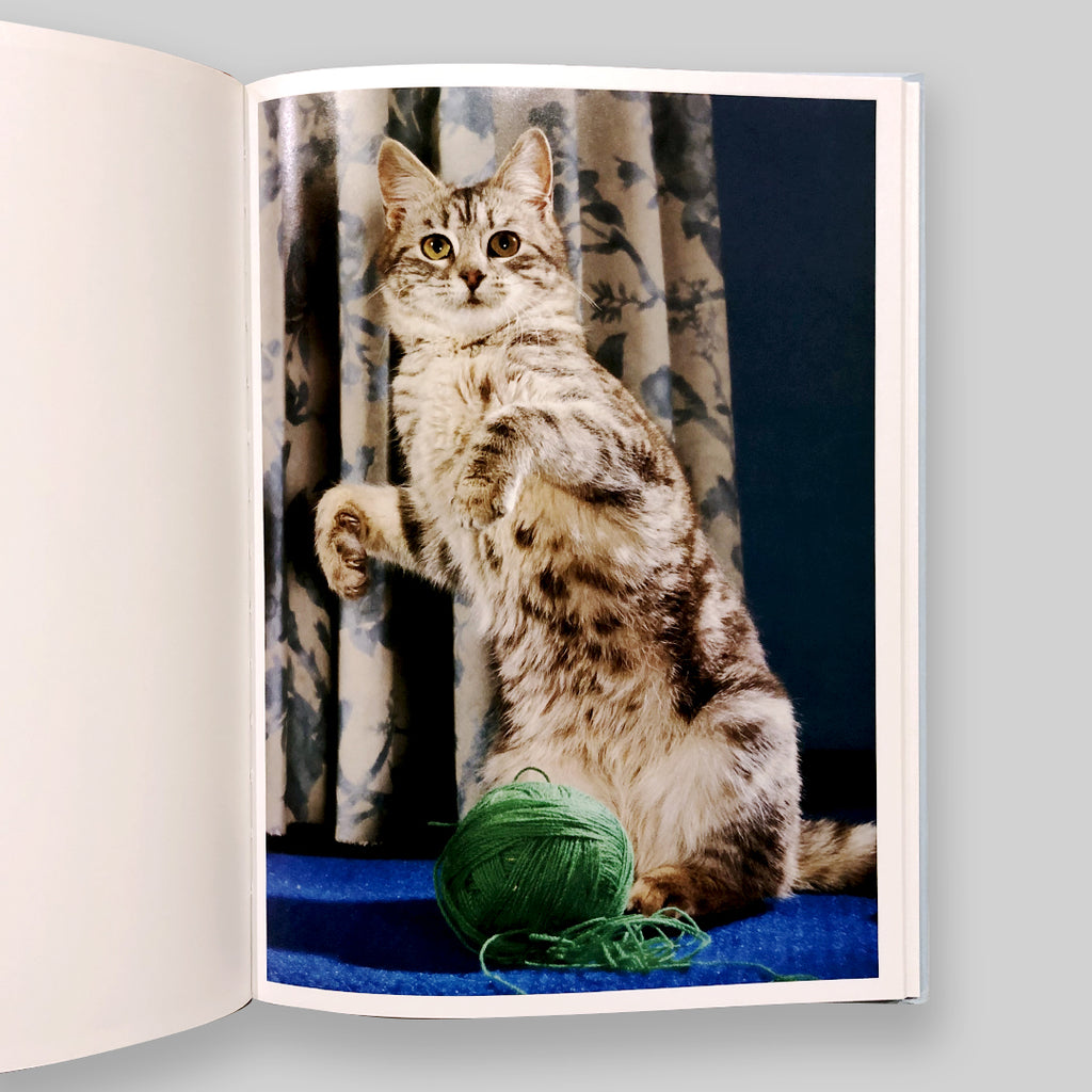 Walter Chandoha: The Cat Photographer – Zontiga