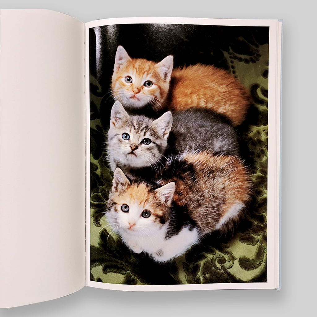 Walter Chandoha: The Cat Photographer – Zontiga