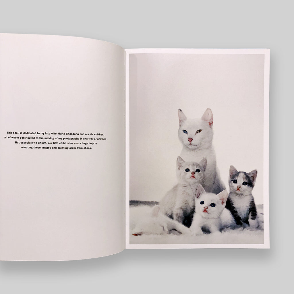Walter Chandoha: The Cat Photographer – Zontiga