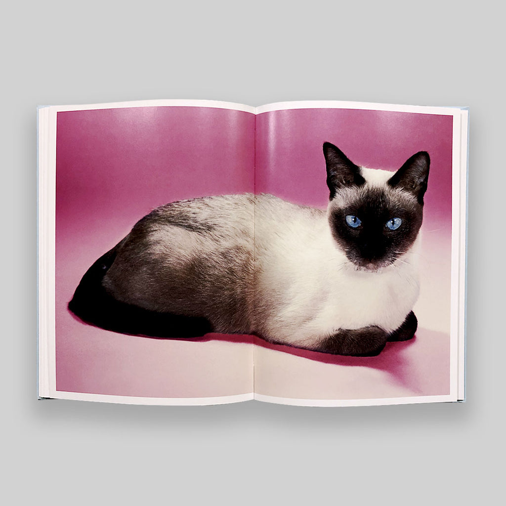 Walter Chandoha: The Cat Photographer – Zontiga